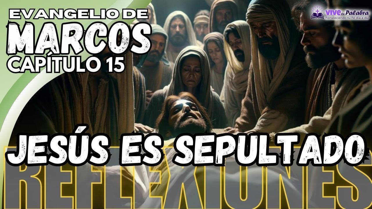 🟠 MATEO 24 📖 REFLEXIÓN BIBLICA 🎧 ENSEÑANZAS DE LA BIBLIA • Vive La Palabra